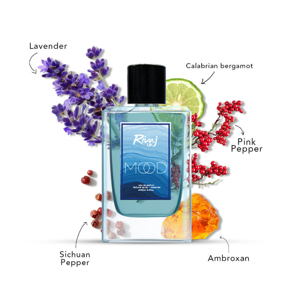 Rivaj Mood Eau De Perfume For Men 100ml – choicemall
